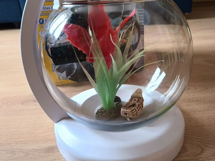 Аквариум Tetra