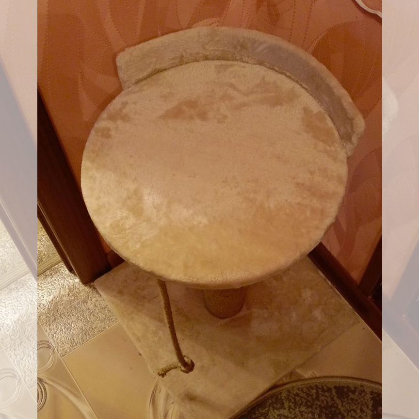 Когтеточка с лежанкой