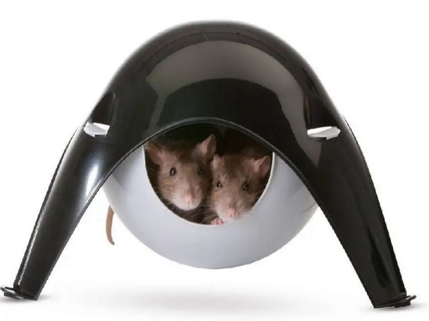 Дом для грызунов spytnik