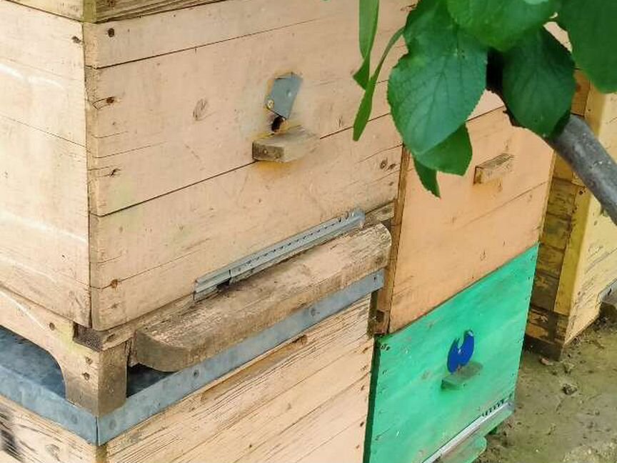 Улей дадан 12 рамочные