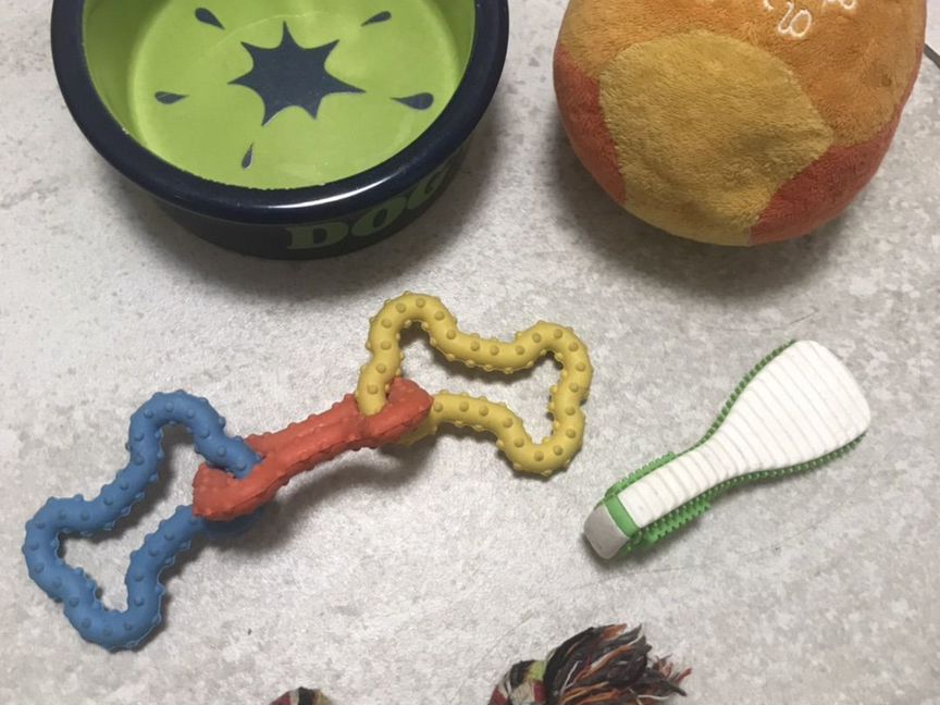 Аксессуары для собак пакетом