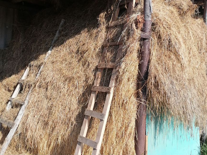 Сено мелкое луговое