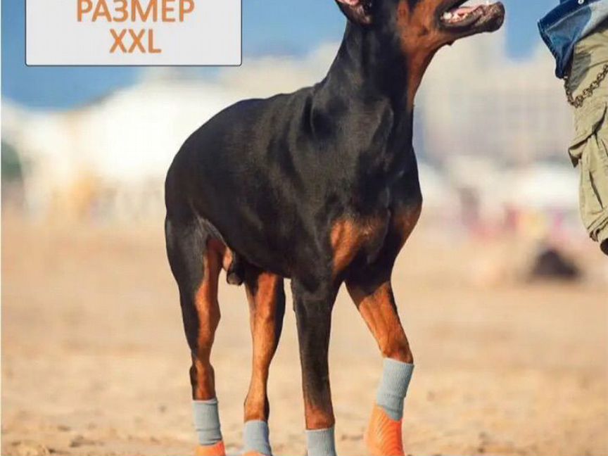 Перчатки для собак