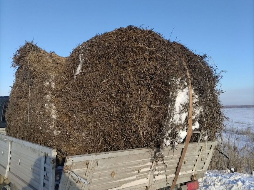 Солома гороховая, сено в мешках