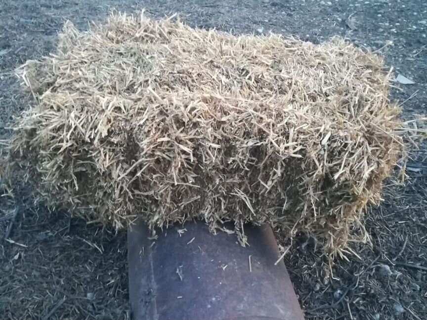 Гороховая солома