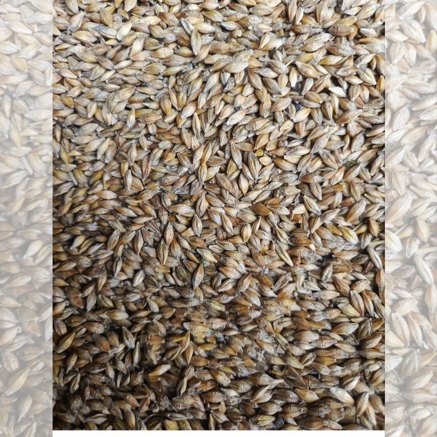 Корма для сельскохозяйственных животных