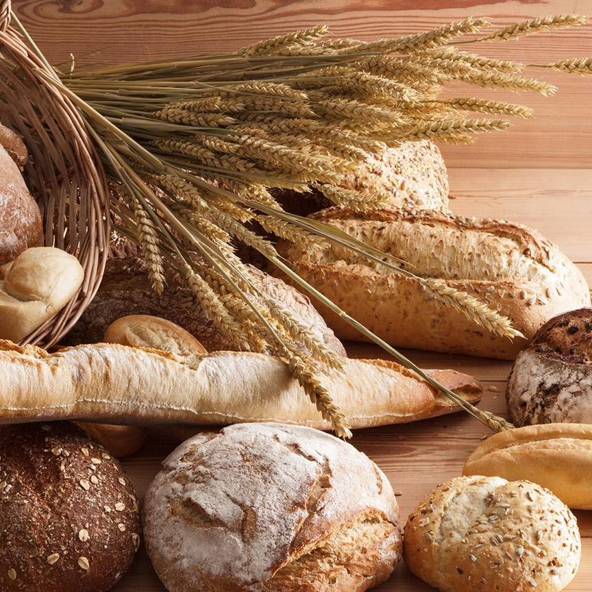 Продукты для животных. Волгоград