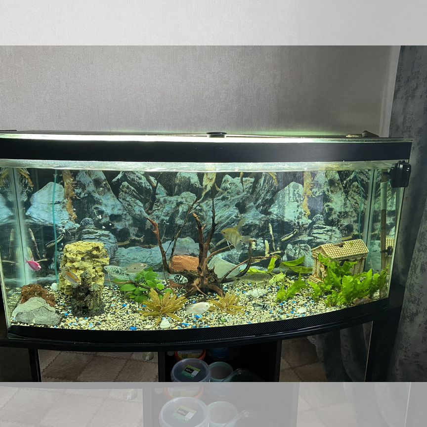 Аквариум 250 литров
