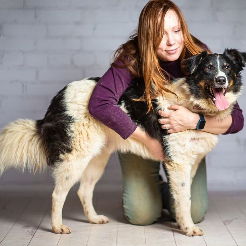 Тайсон — красивый и добрый, но Бездомный