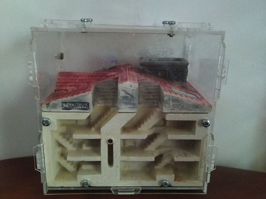 Муравьиная ферма