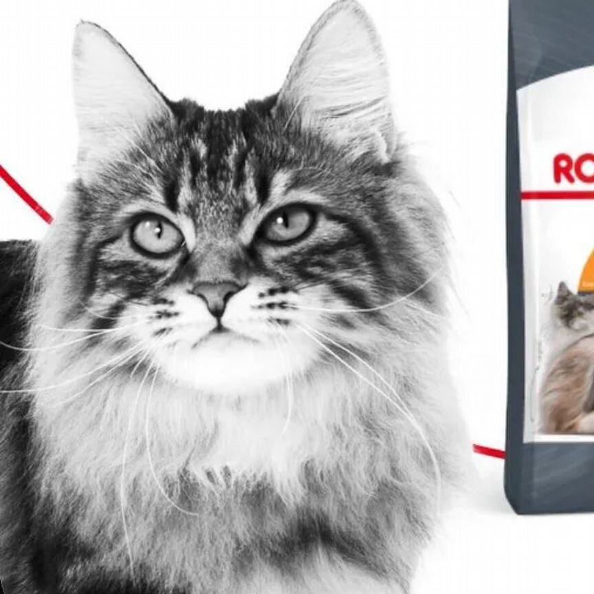 Корм для кошек Royal Canin Hair&Skin Care, 400 г