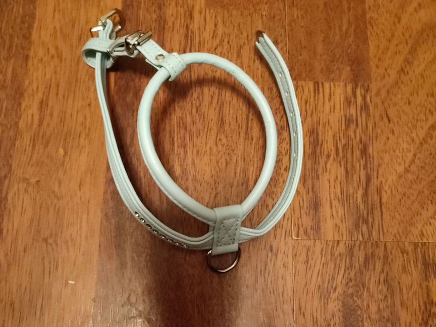 Шлейка для маленькой собаки Hunter