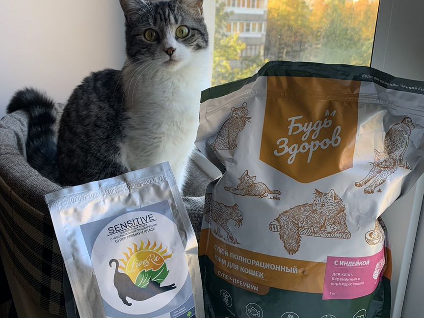 Корм для кошек Живая сила