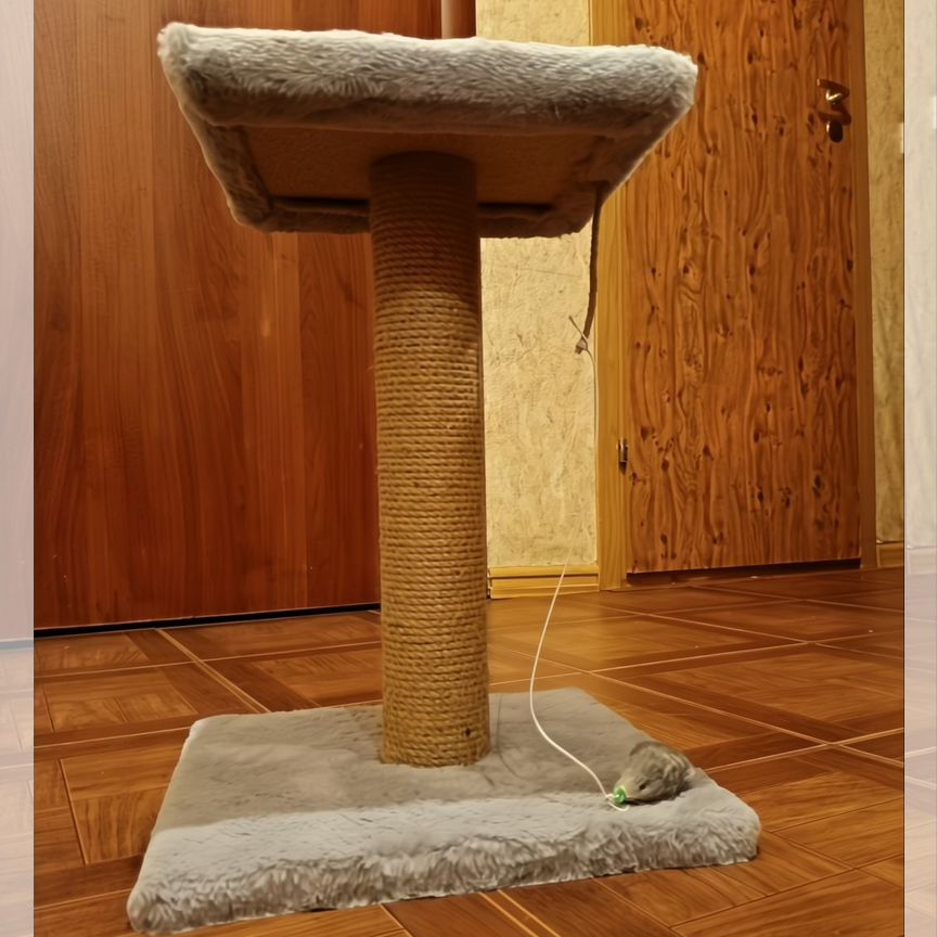 Когтеточка для котят