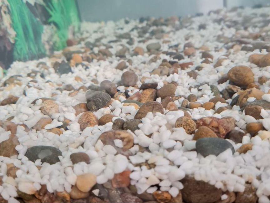 Грунт, галька