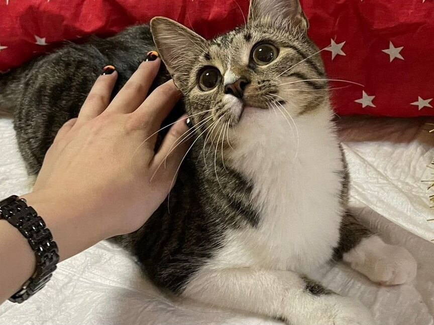 Видео мегаласкуши девчули дружелюбные