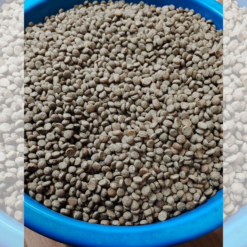 Сухой корм для собак