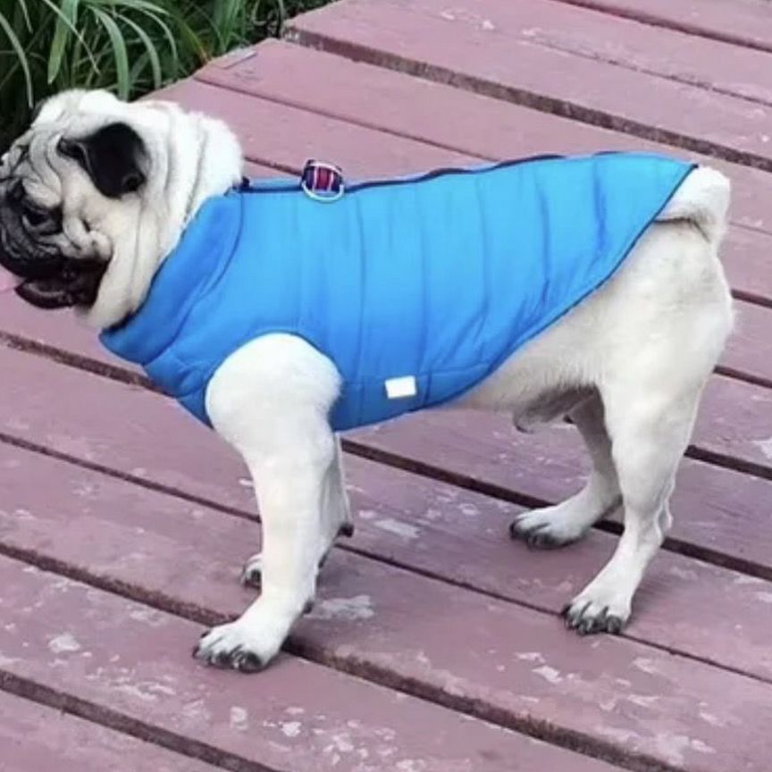 Зимняя непромокаемая куртка для собак