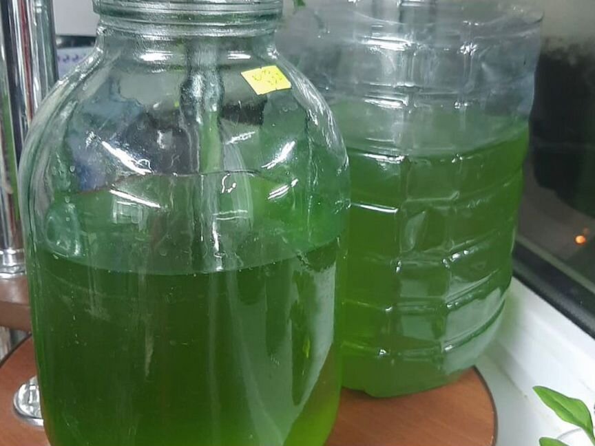 Тетраселмис