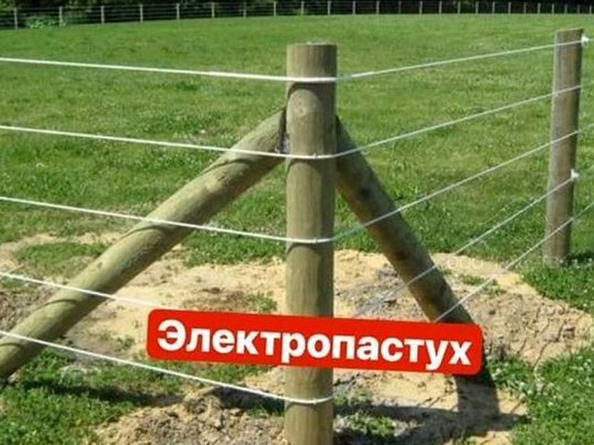 Электропастух для молочных крс