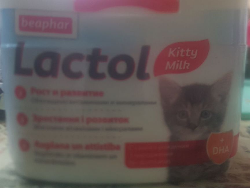 Смесь для новорождённых котят