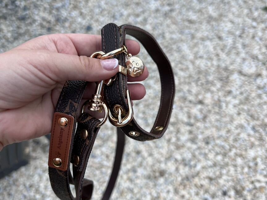 Ошейник и поводок для собак 2 цвета. Louis Vuitton