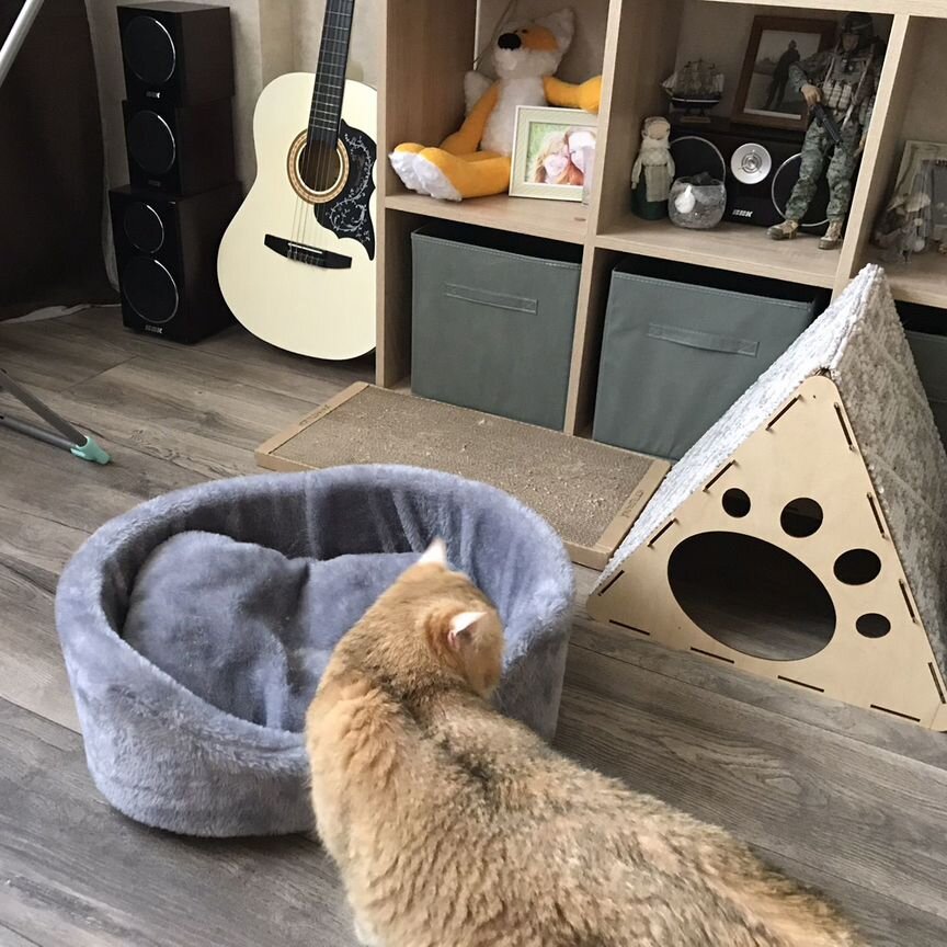 Лежанка для кошек бу