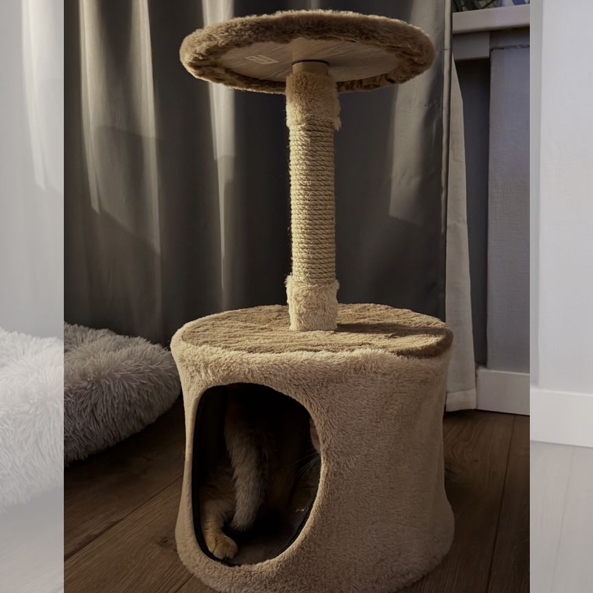 Домик для кошки