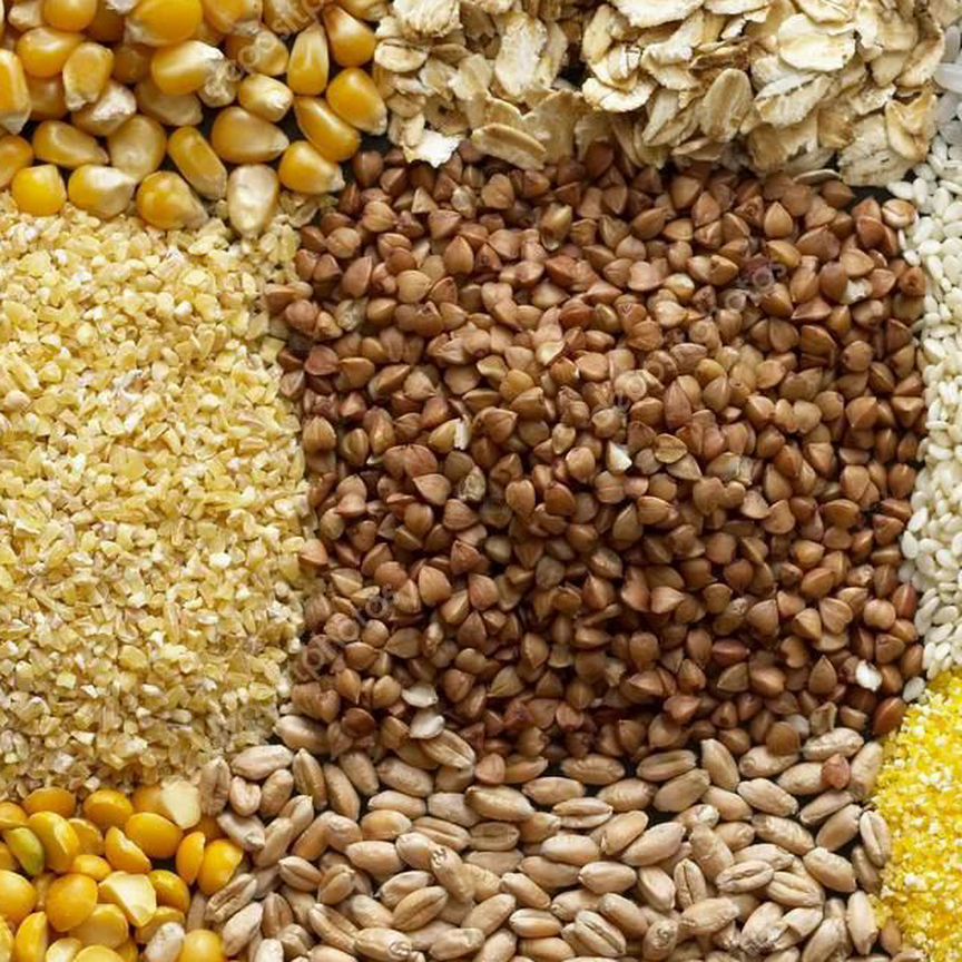 Продаем пшеницу, ячмень, кукурузу, горох, семечку