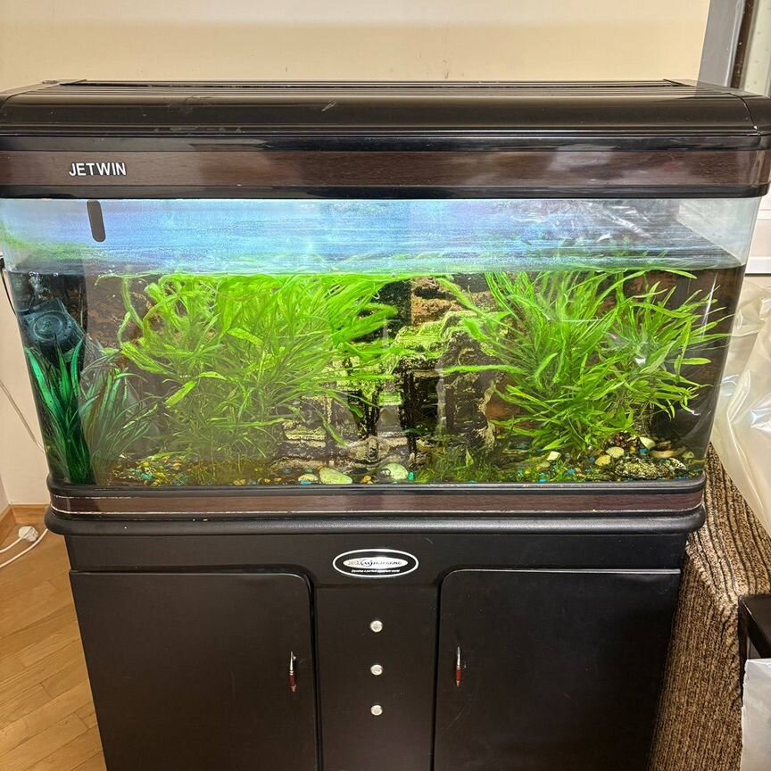 Аквариум 200литров   фильтр