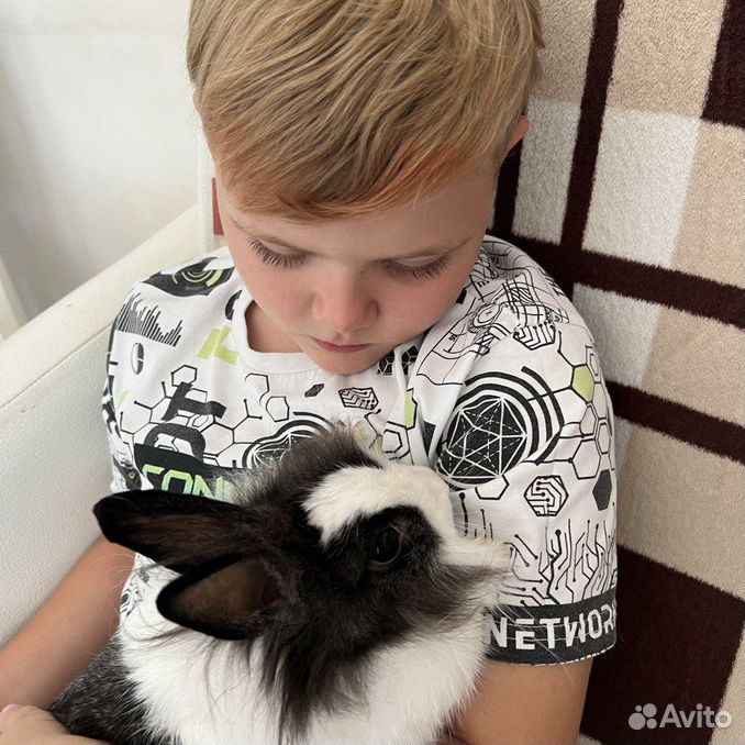 Ручной кролик - радость Вашего ребёнка