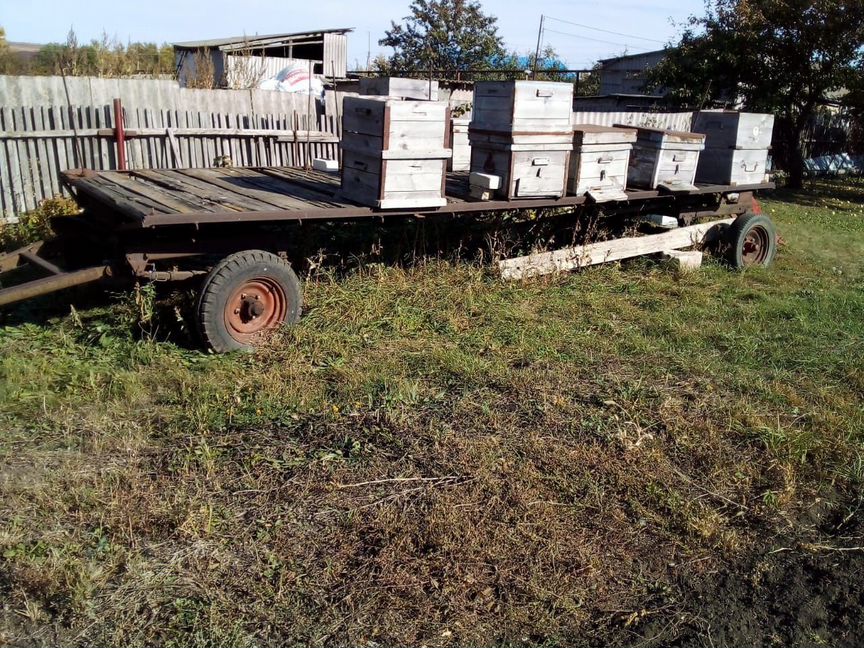 Улики для пчел, медогонки, прицеп