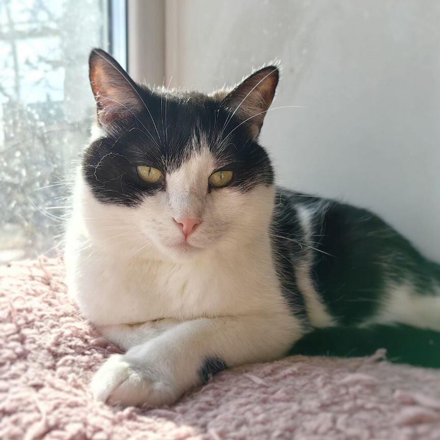 Скромный и Бездомный