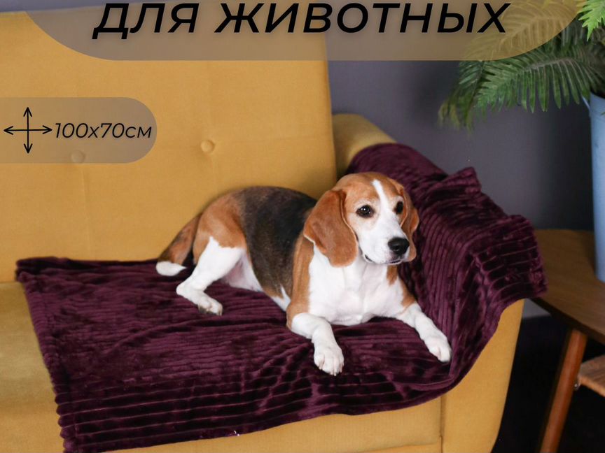 Плед для собак и кошек 70х110