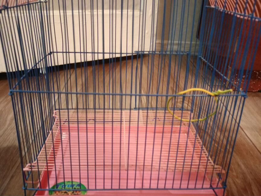 Клетка для грызунов