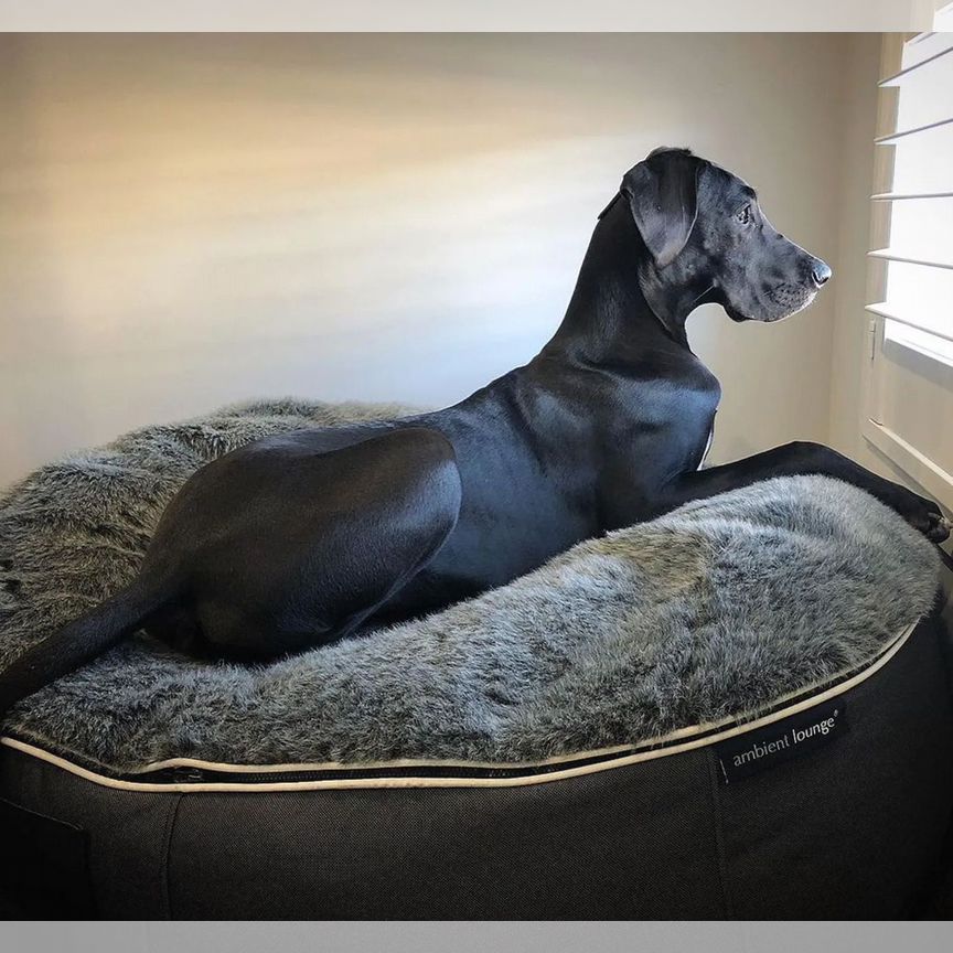 Прочная лежанка для крупных пород собак