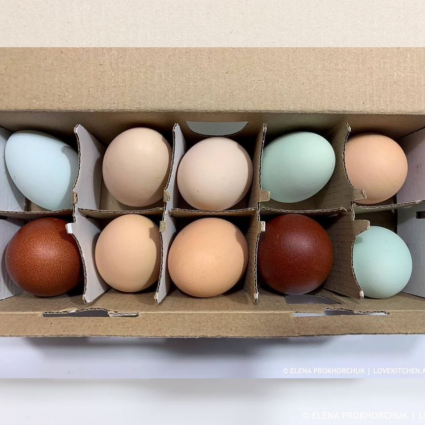 Инкубационное яйцо кур