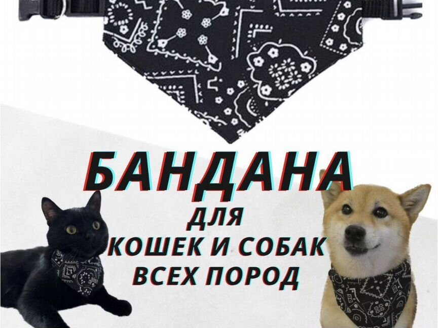 Бандана-ошейник для кошек и собак всех пород
