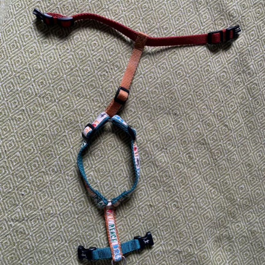 Шлейка шарик дог