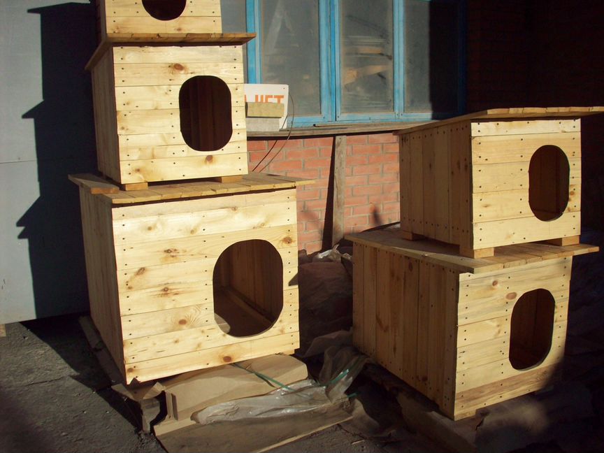 Собачьи будки