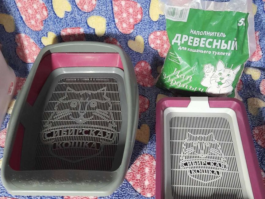 Лотки для котеев