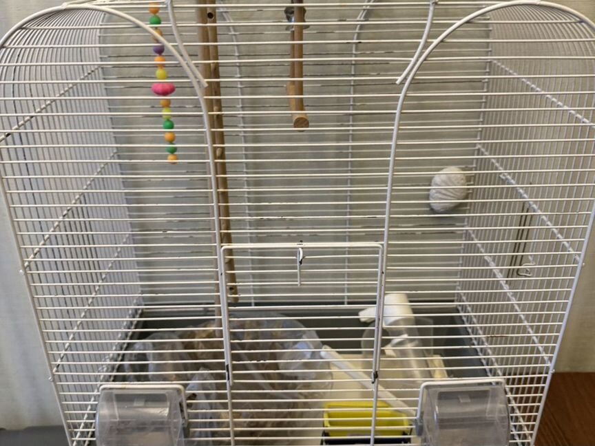 Клетка для попугаев со многими нужными вещами
