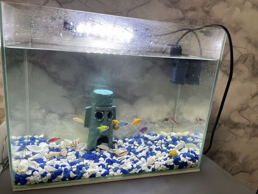 Аквариум с рыбками