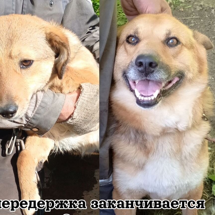 Им грозит выселение спасите бедняг
