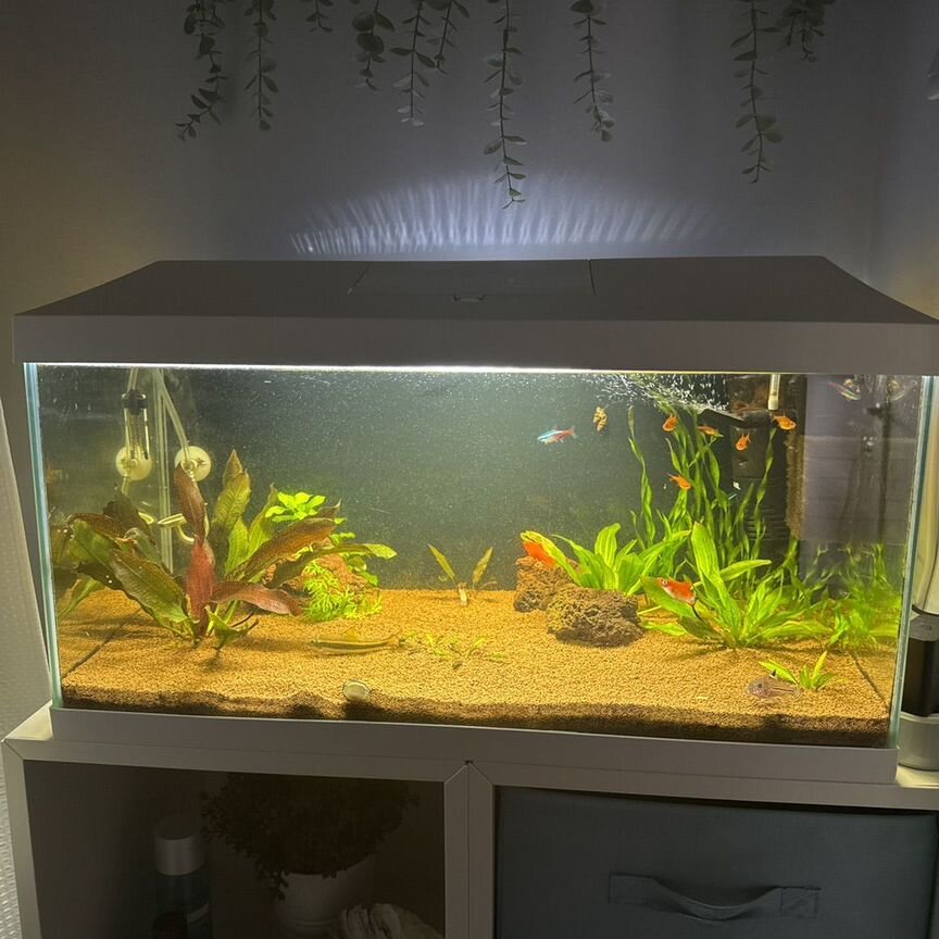 Аквариум aquael 45 л