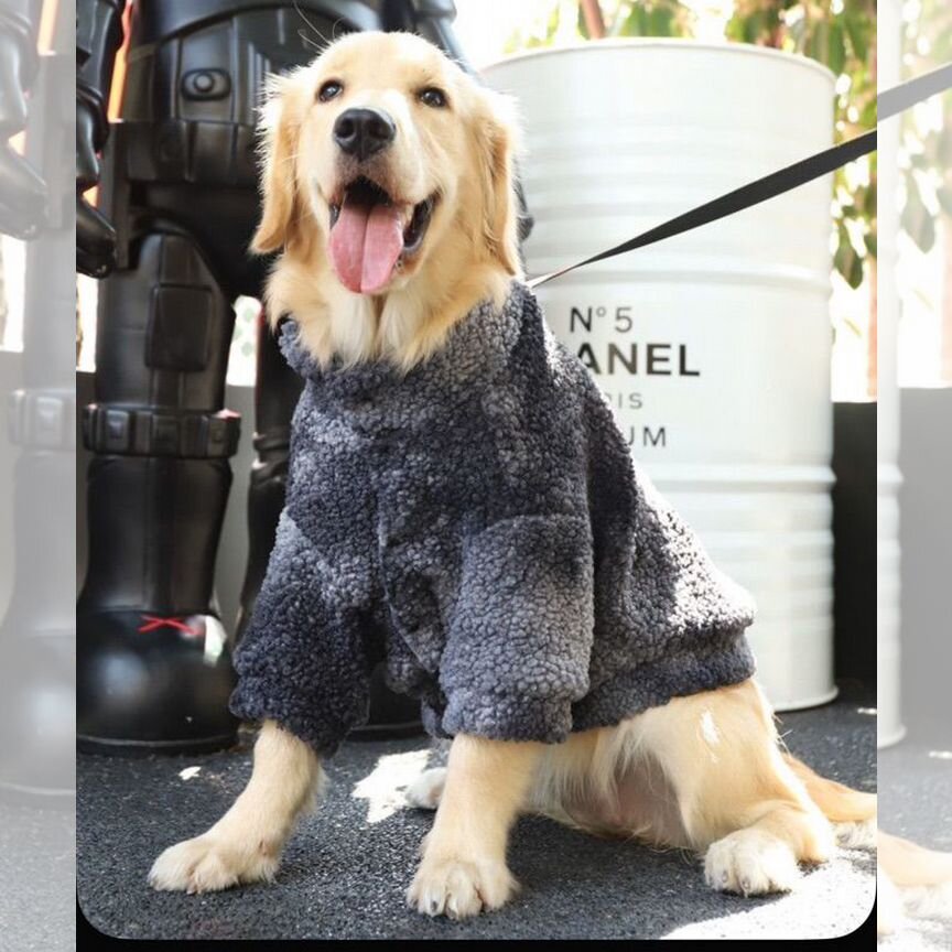 Толстовка зимняя для собак