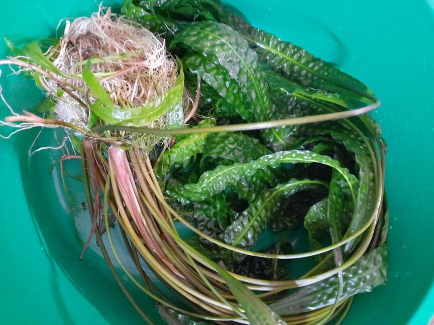 Украшение для аквариума