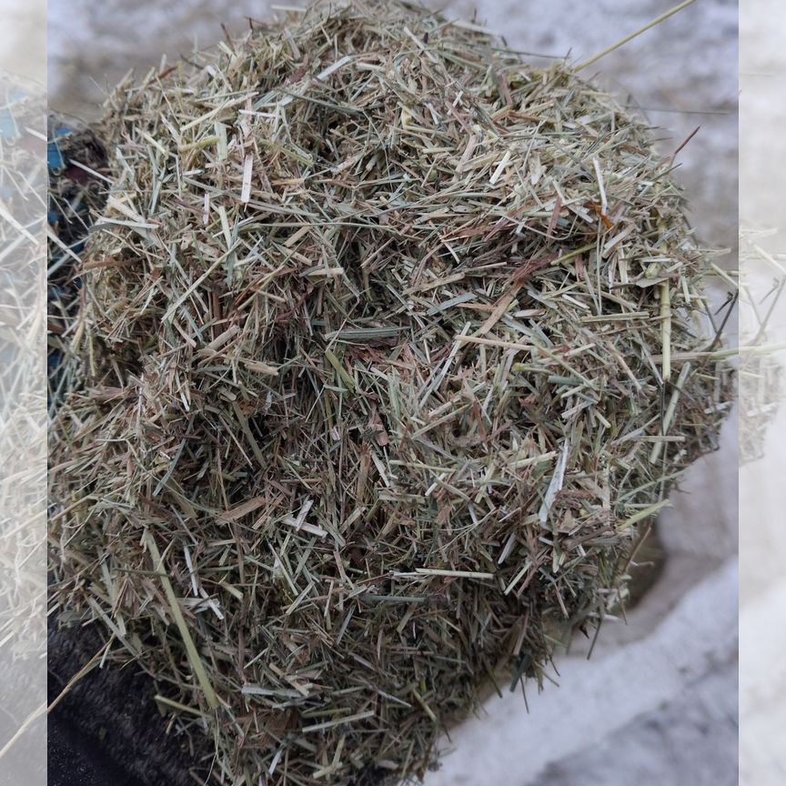 Сено дробленое (травиная мука)