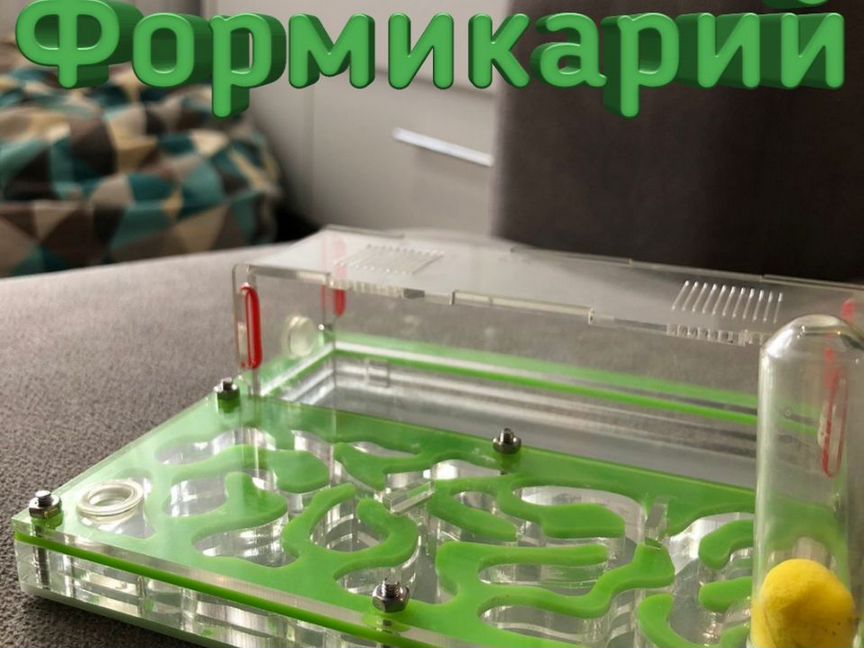 Формикарий Для Муравьев
