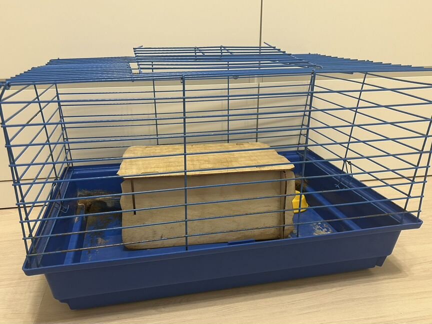 Клетка для морской свинки